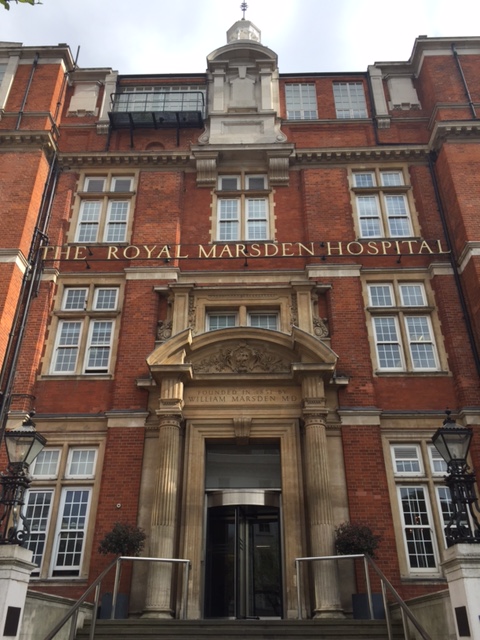 The Reality of Immunotherapy Treatment – Shomelanoma