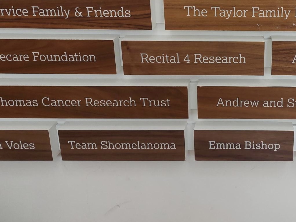 7 Years with Stage 4 Melanoma and Team Shomelanoma Fundraising exceeds ...